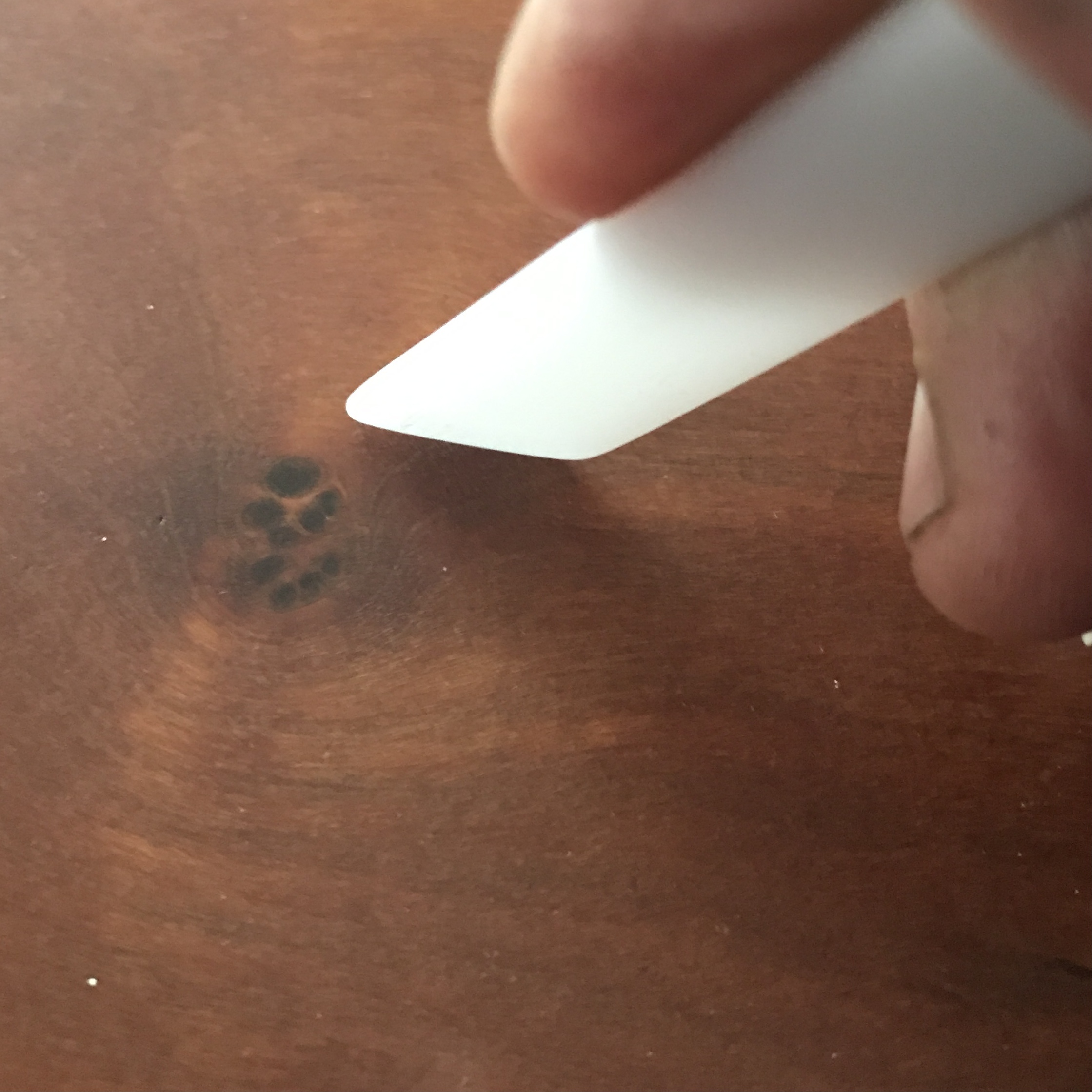 New Tool! The Fox Folder – Peachey Conservation